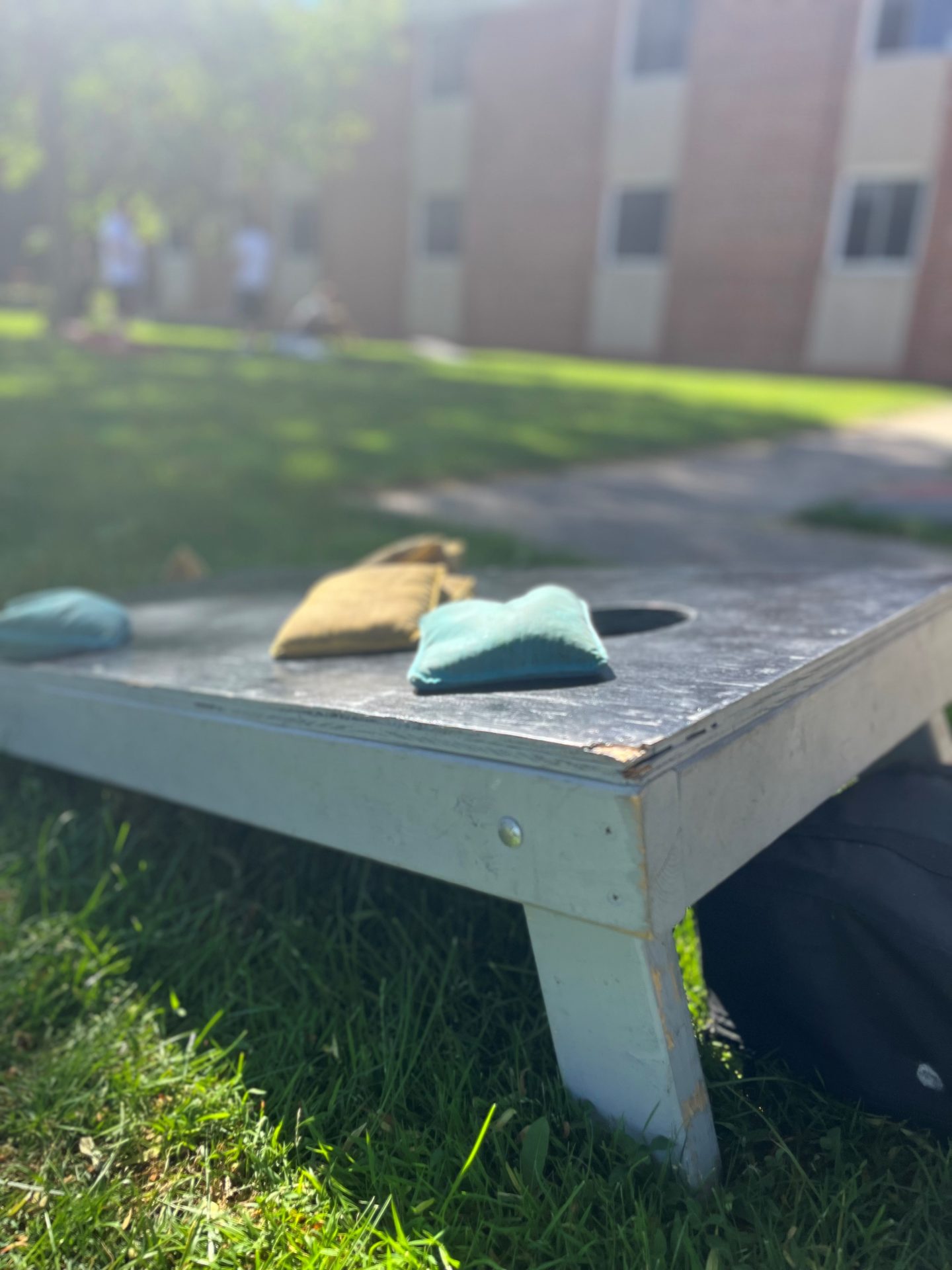 Appleton COTSStudying Success - Appleton COTS